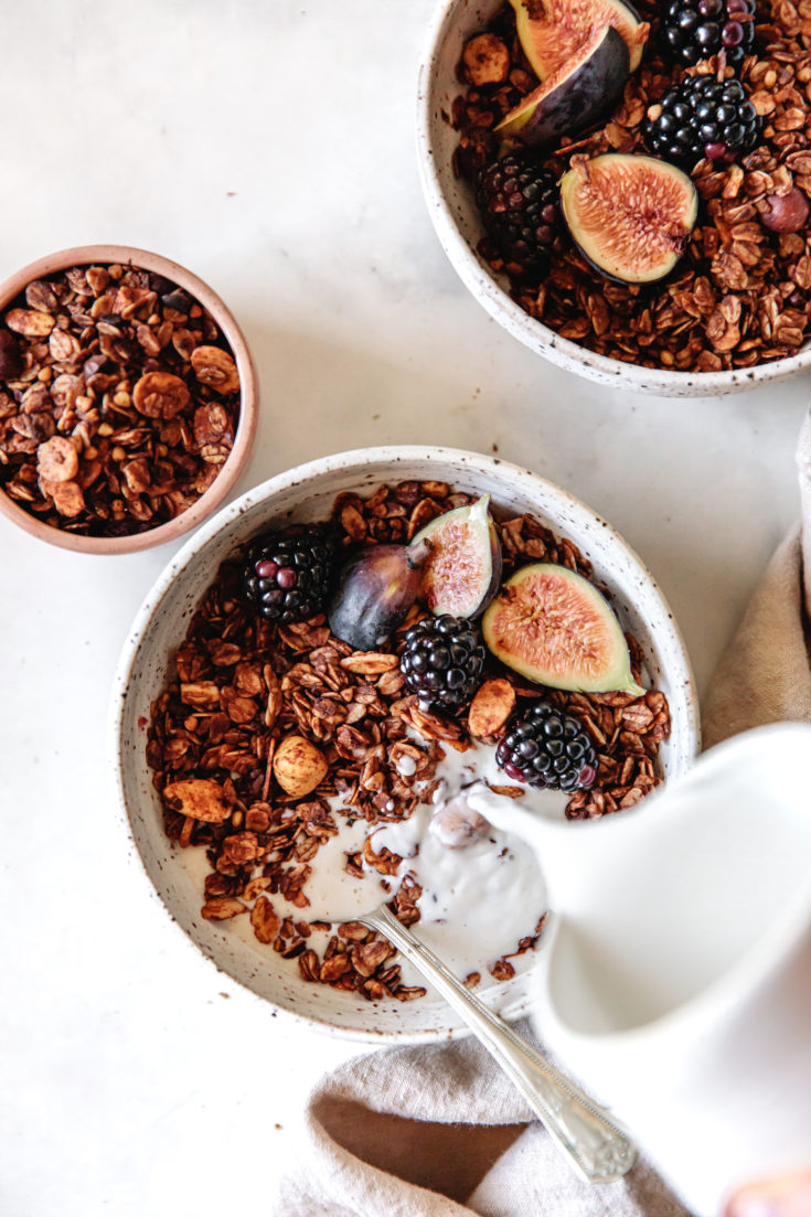 Chocolate Granola - Delight Fuel